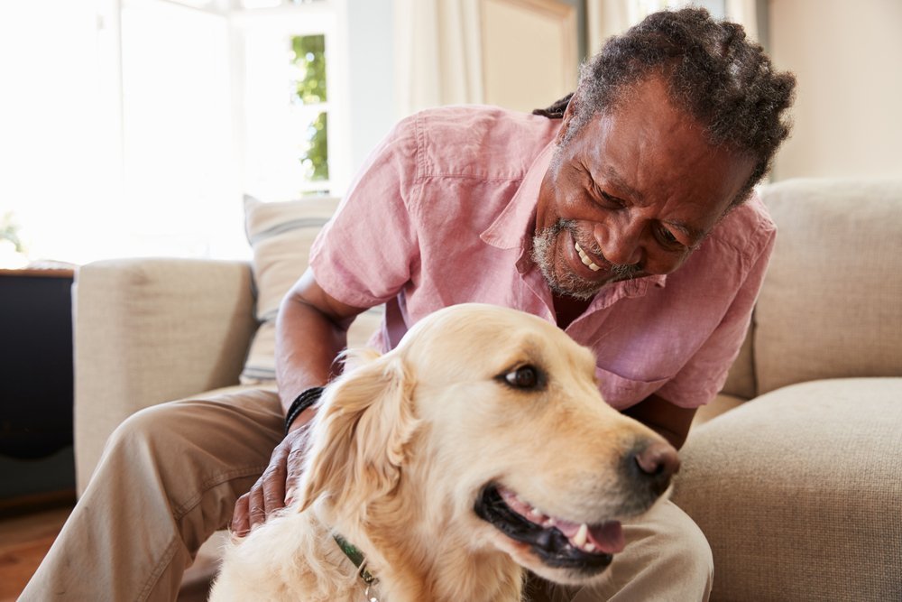 Pet Estate Planning: Ensuring Your Pet's Future in Your Estate Plan